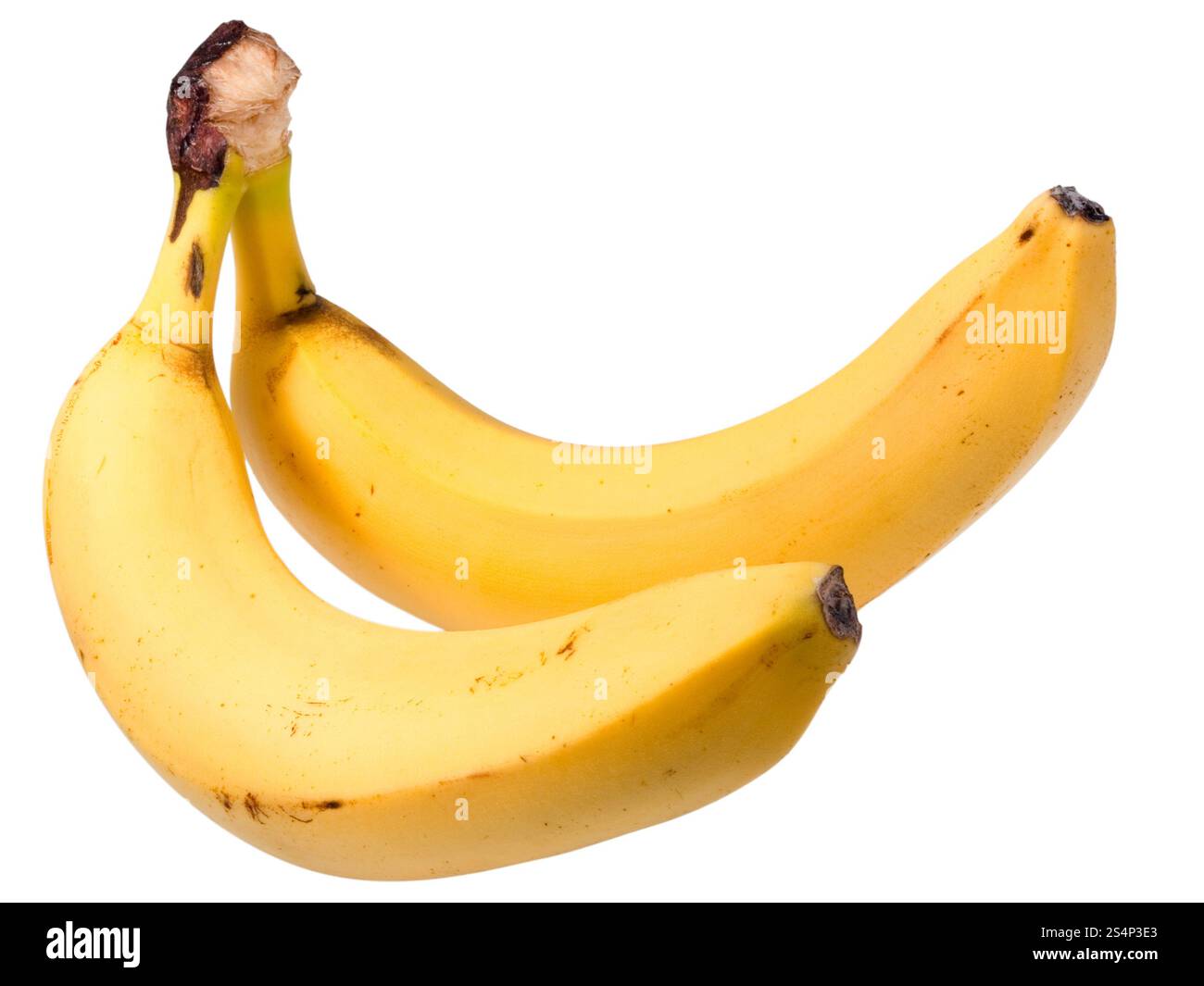 two bananas isolated on white Stock Photo - Alamy