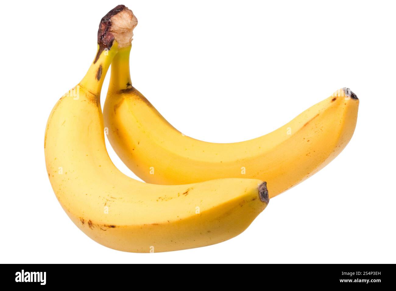 two bananas isolated on white Stock Photo - Alamy