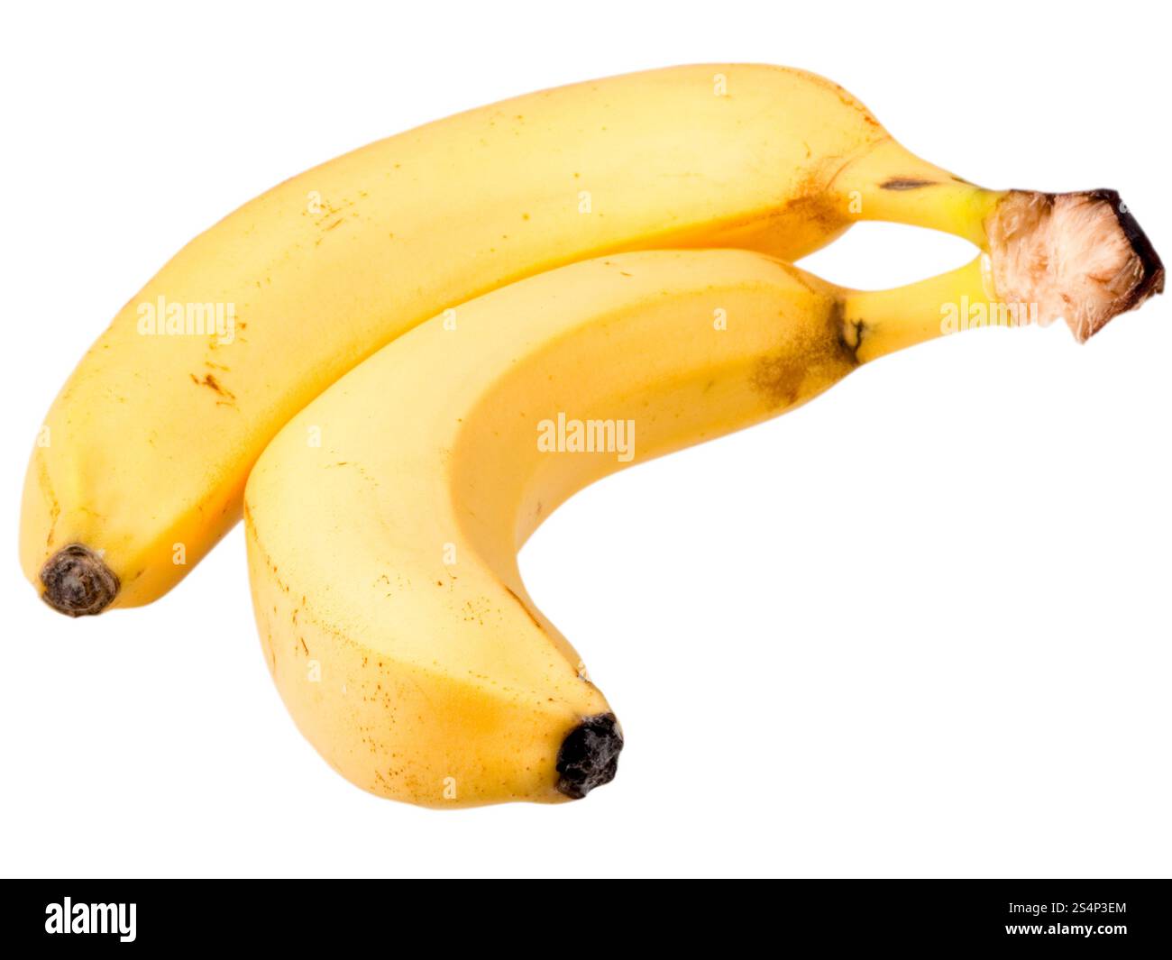 two bananas isolated on white Stock Photo - Alamy