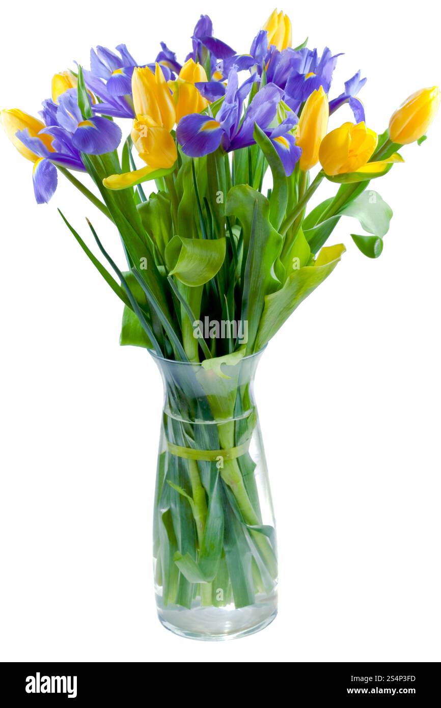 Blue and white flowers bowl Cut Out Stock Images & Pictures - Alamy