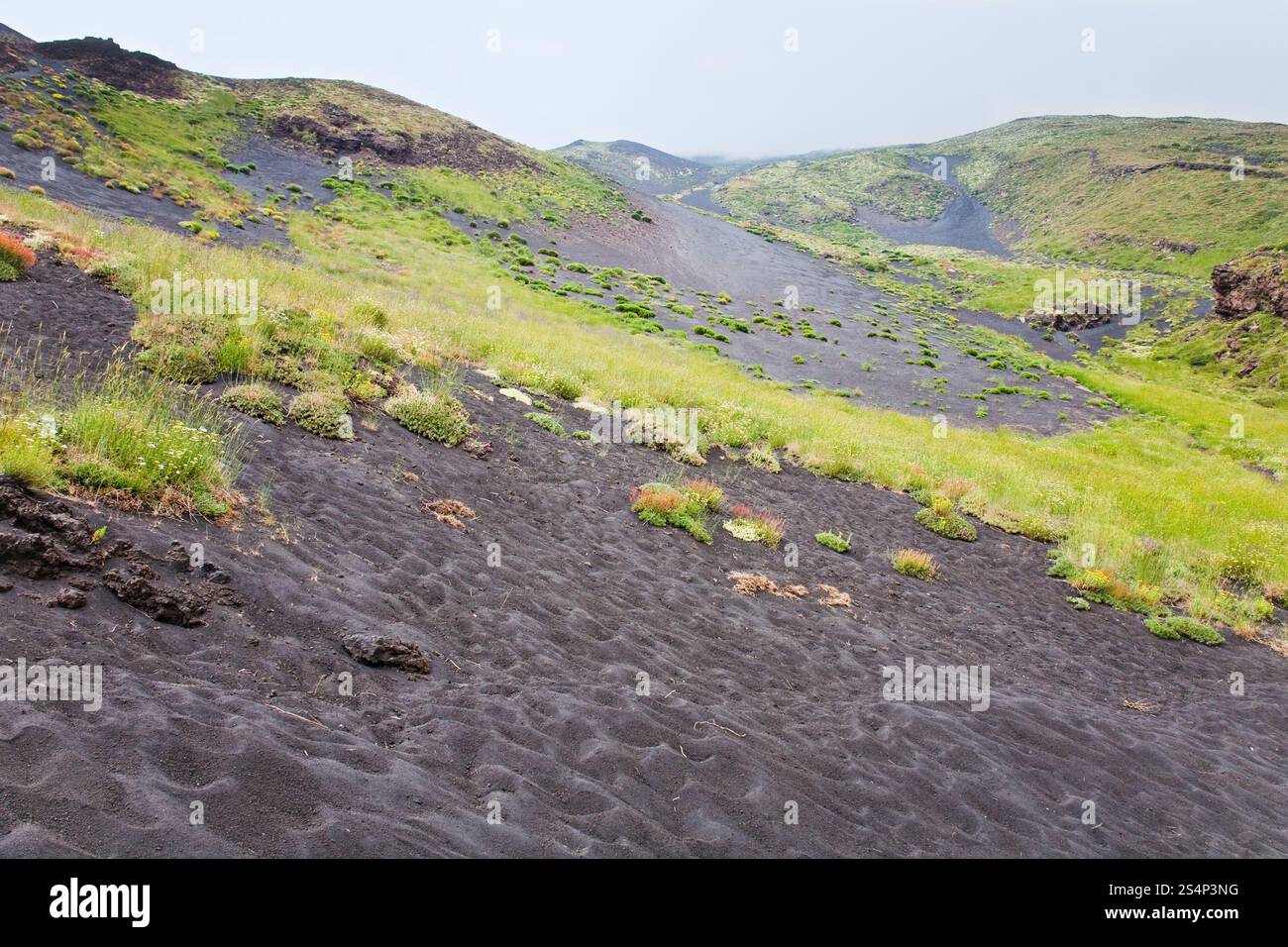 First plants on volcano gentle slope hi-res stock photography and ...