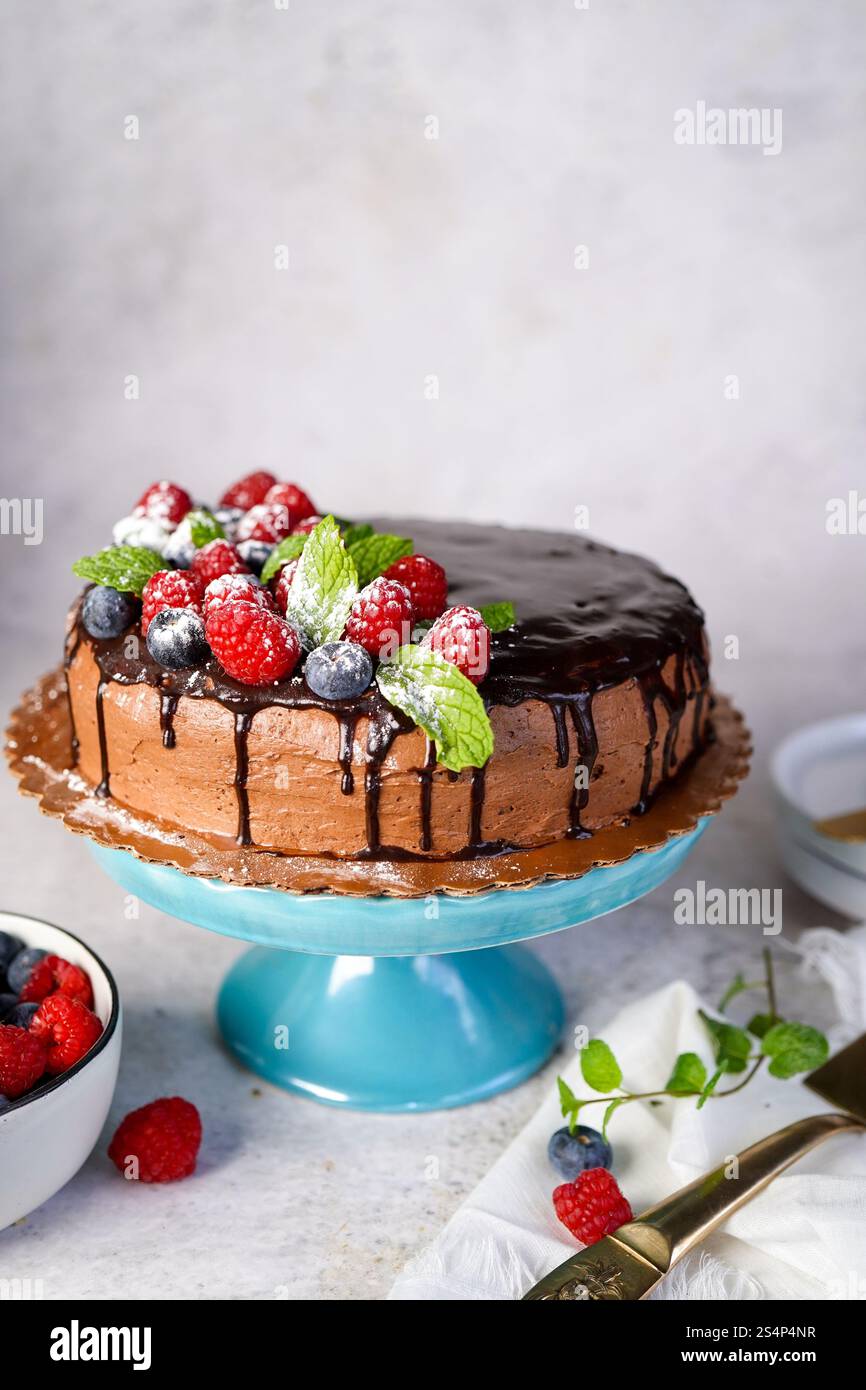 Homemade vanilla layered sponge cake with chocolate buttercream ...