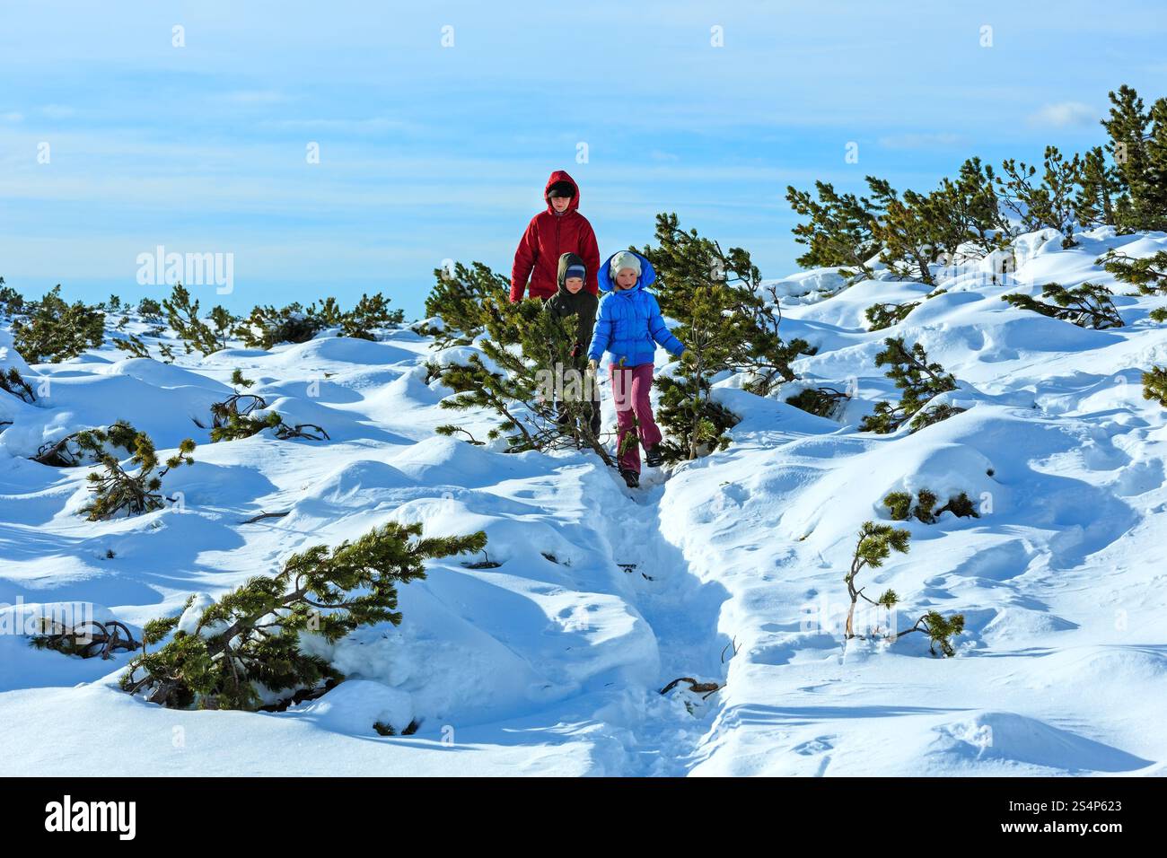 Family (mother with two children) take a walk on winter mountain slope ...