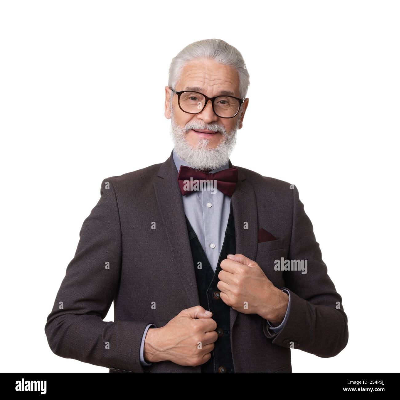 Portrait of elegant bearded gentleman on white background Stock Photo ...