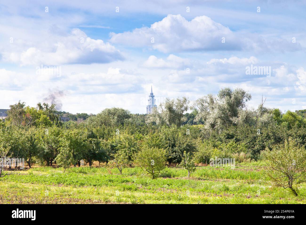 Apple orchard in summer hi-res stock photography and images - Alamy