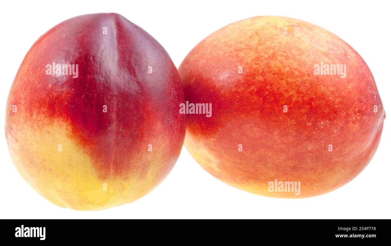 two fresh Nectarines isolated on white background Stock Photo - Alamy