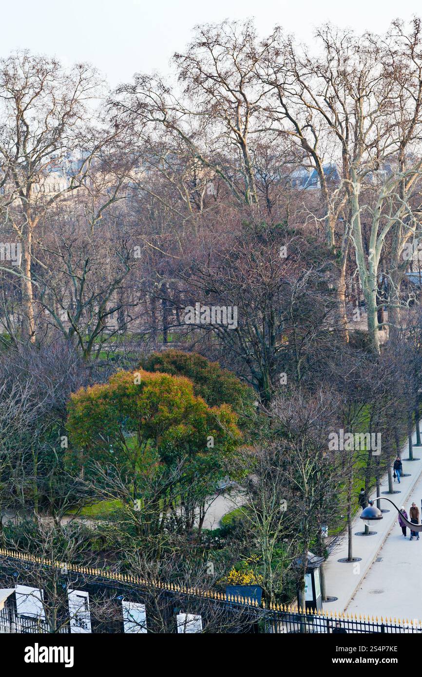 view of Luxembourg Gardens in Paris in early spring Stock Photo - Alamy