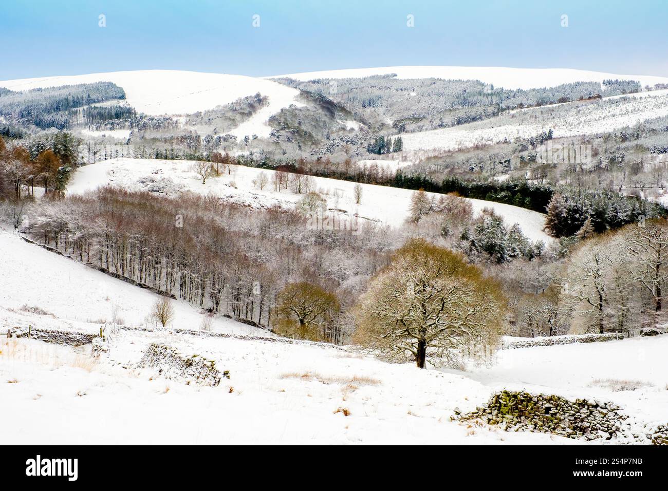 Goyt valley woodlands hi-res stock photography and images - Alamy