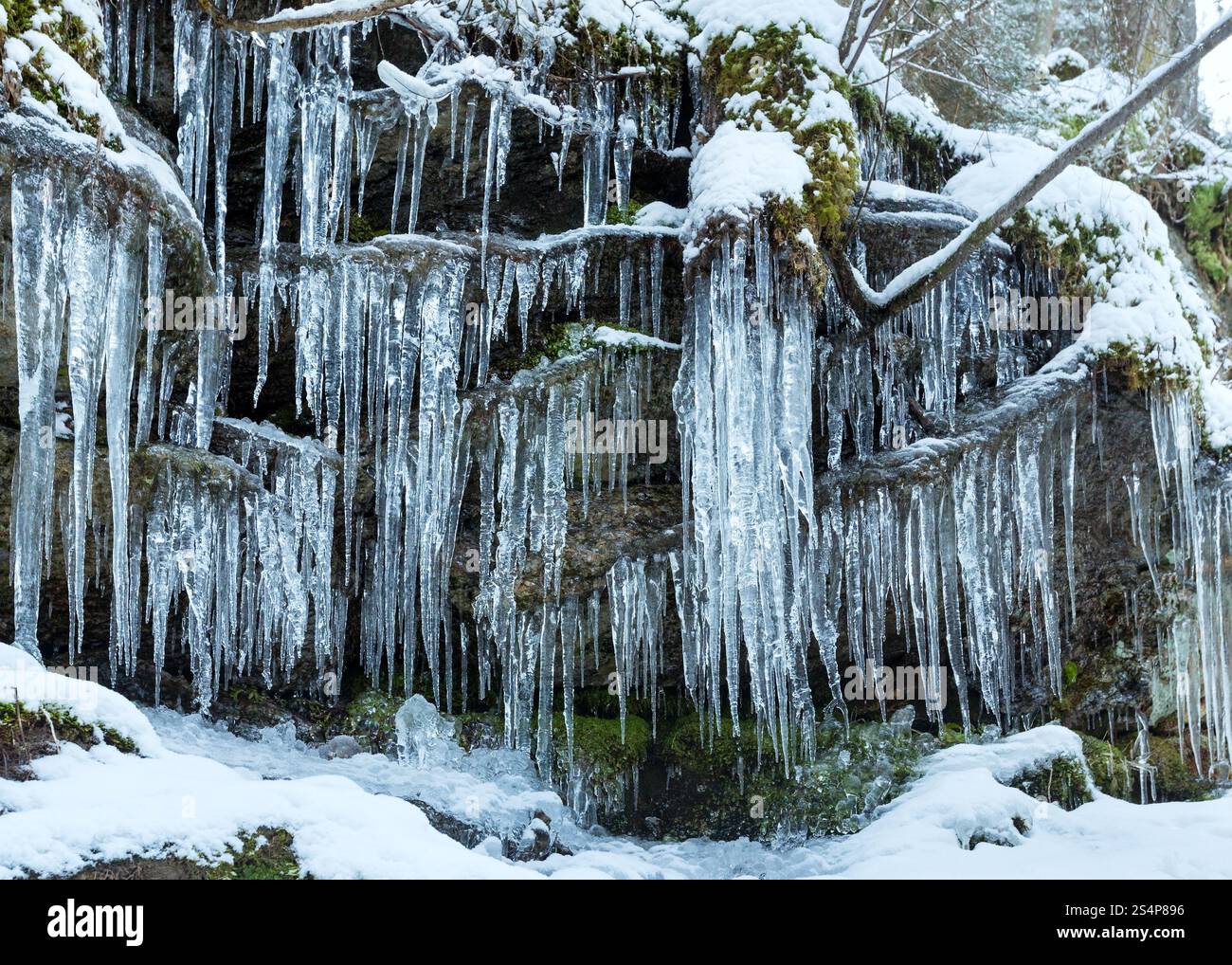 Icicle hanging from moss hi-res stock photography and images - Alamy