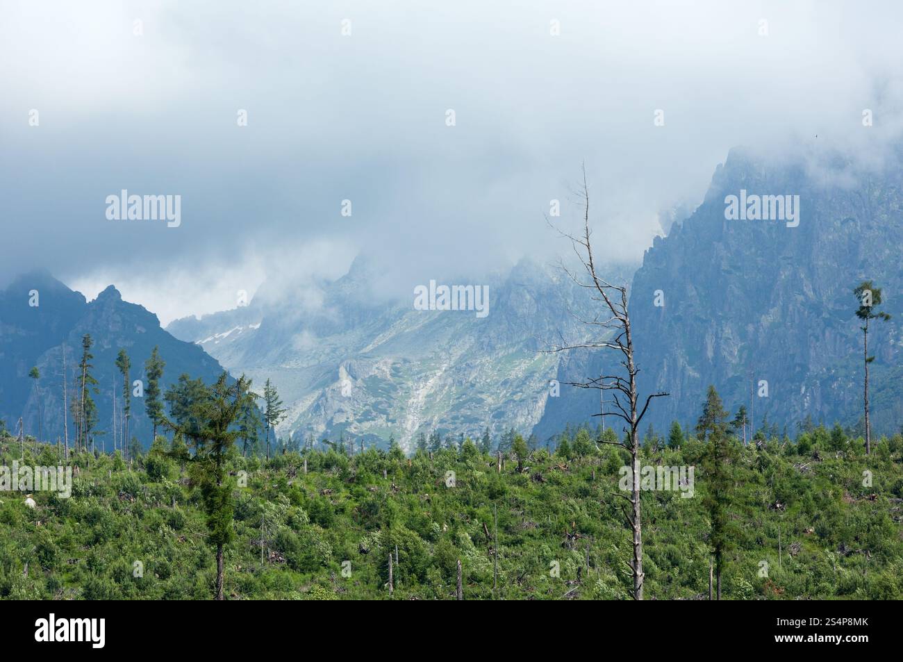 High Tatras summer cloudy mountain view (Slovakia Stock Photo - Alamy