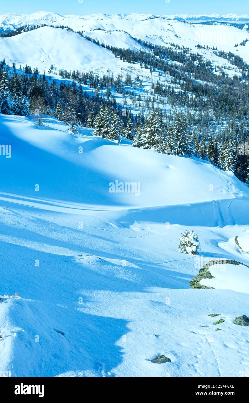 Winter mountain landscape with snowy spruce trees on slope(Hochkoenig ...