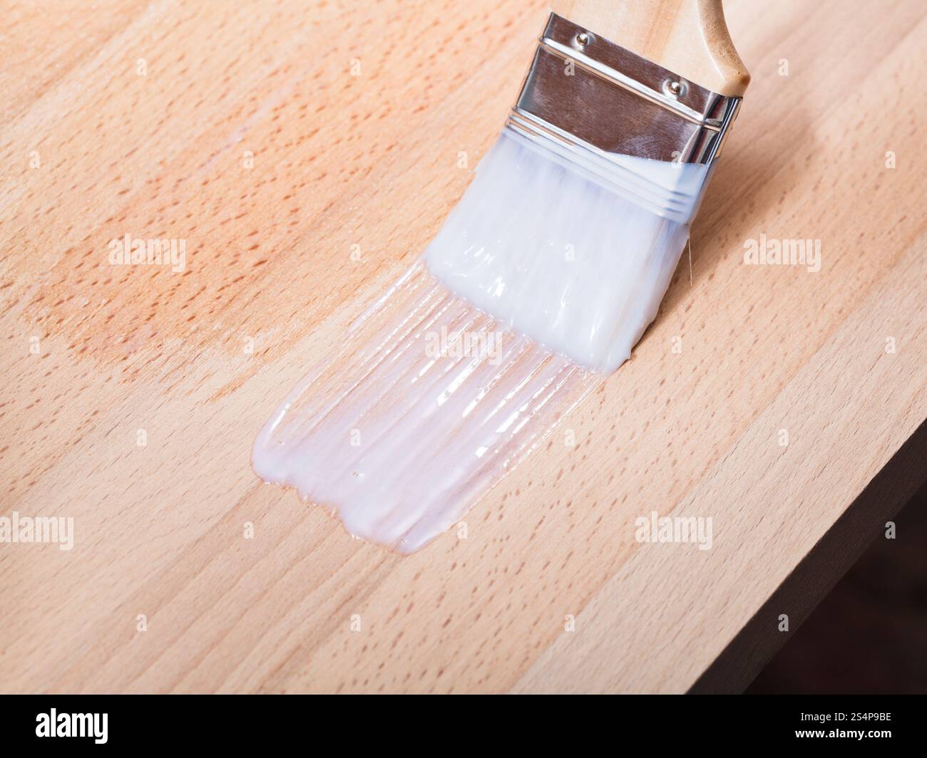 putting layer of clear varnish on surface of beech top table by paint ...