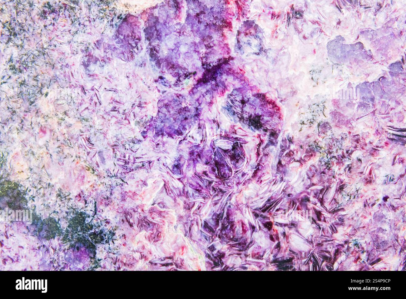 Bright charoite with a coarsely banded structure. Polished sample ...