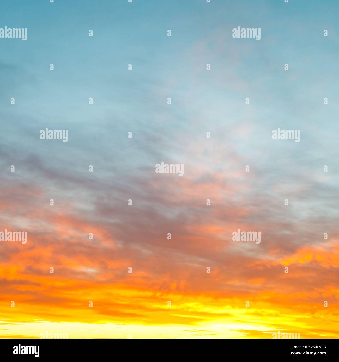 Light bright morning sun hi-res stock photography and images - Alamy