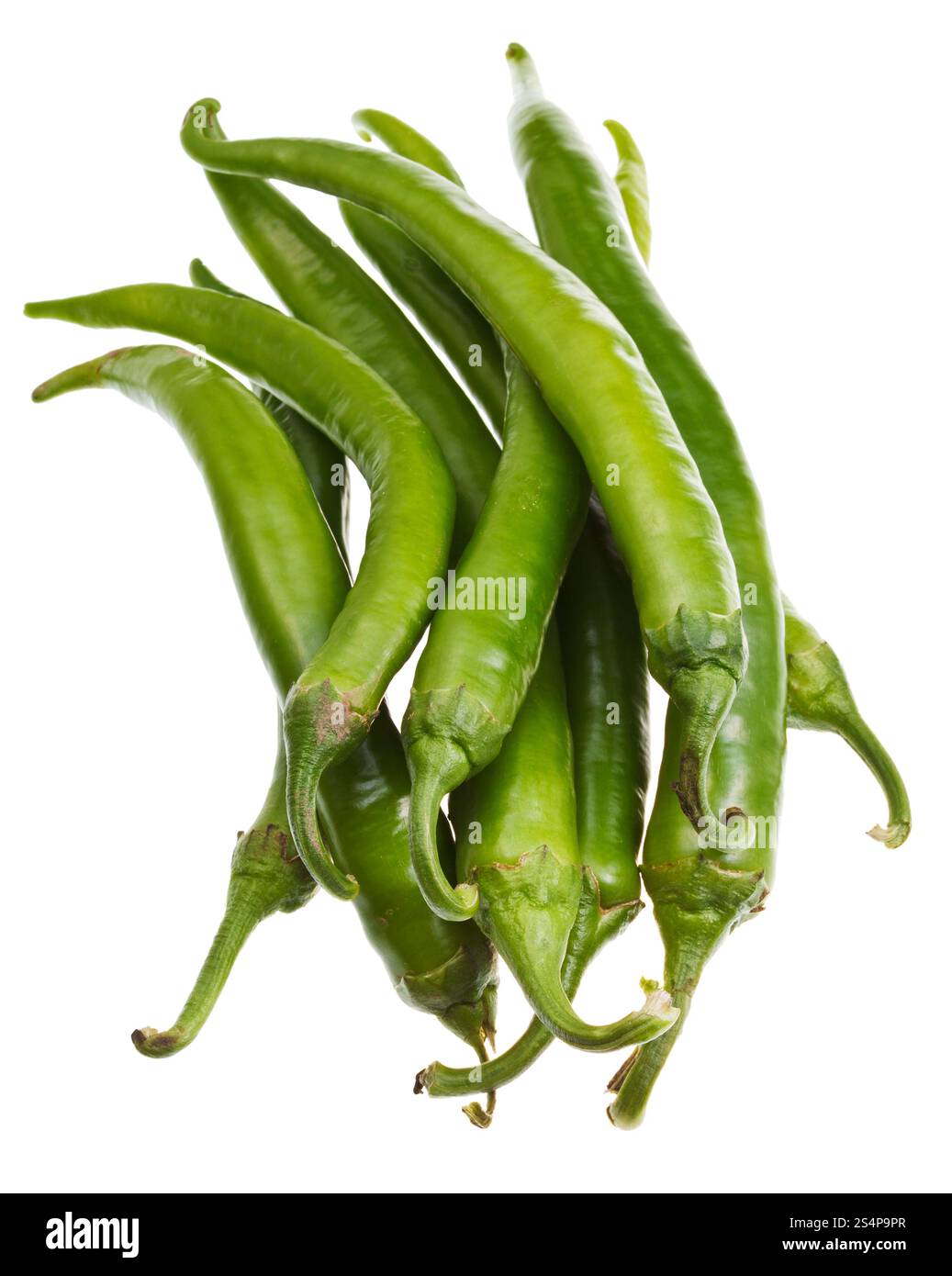 pods of fresh green spicy peppers isolated on white background Stock ...