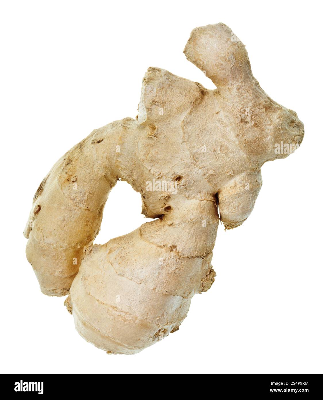 fresh ginger root isolated on white background Stock Photo - Alamy