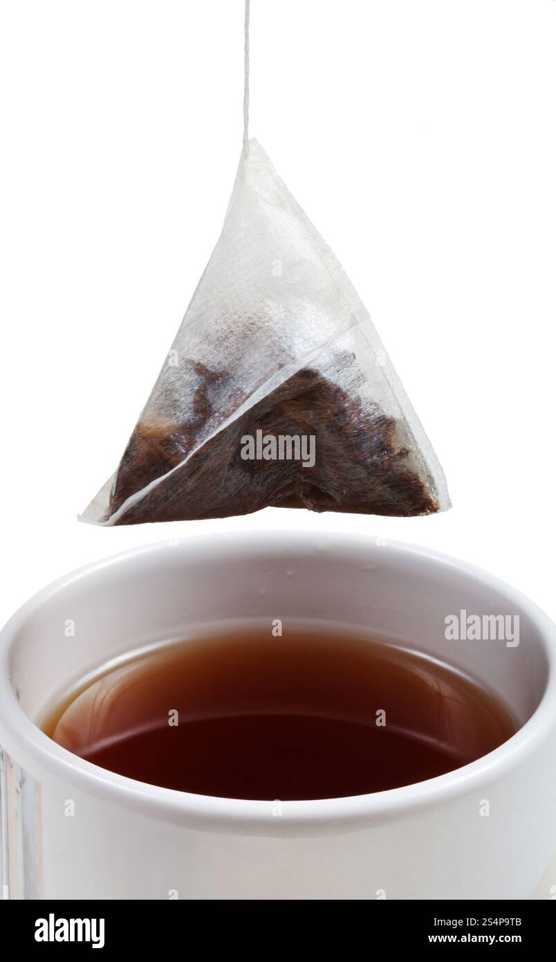 brewing of tea in cup with tea bag close up isolated on white ...