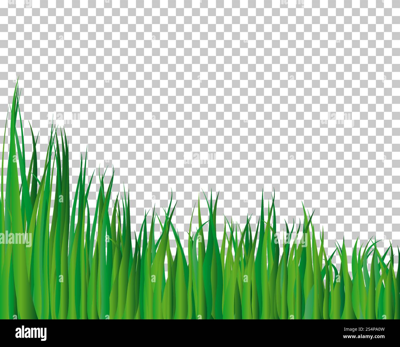 Grass background with transparency grid on back. Vector Illustration ...