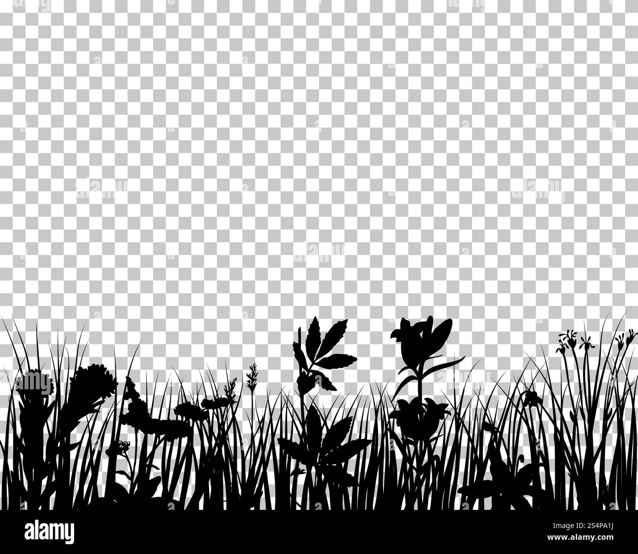 Meadow silhouette with transparency grid on back. Vector Illustration ...