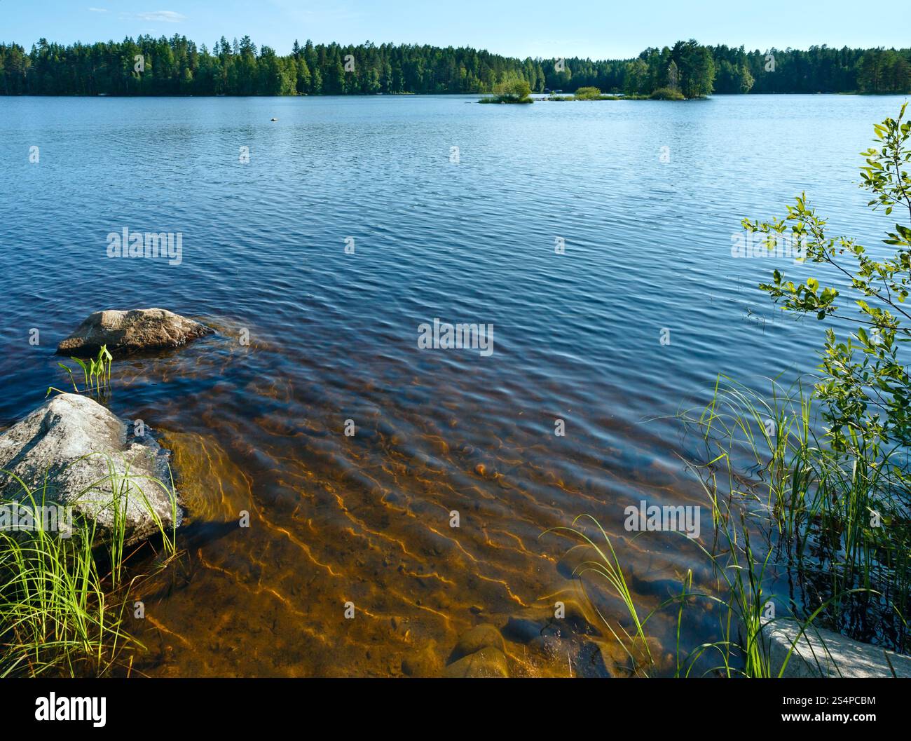 Lake summer view with forest on the edge ( Finland Stock Photo - Alamy
