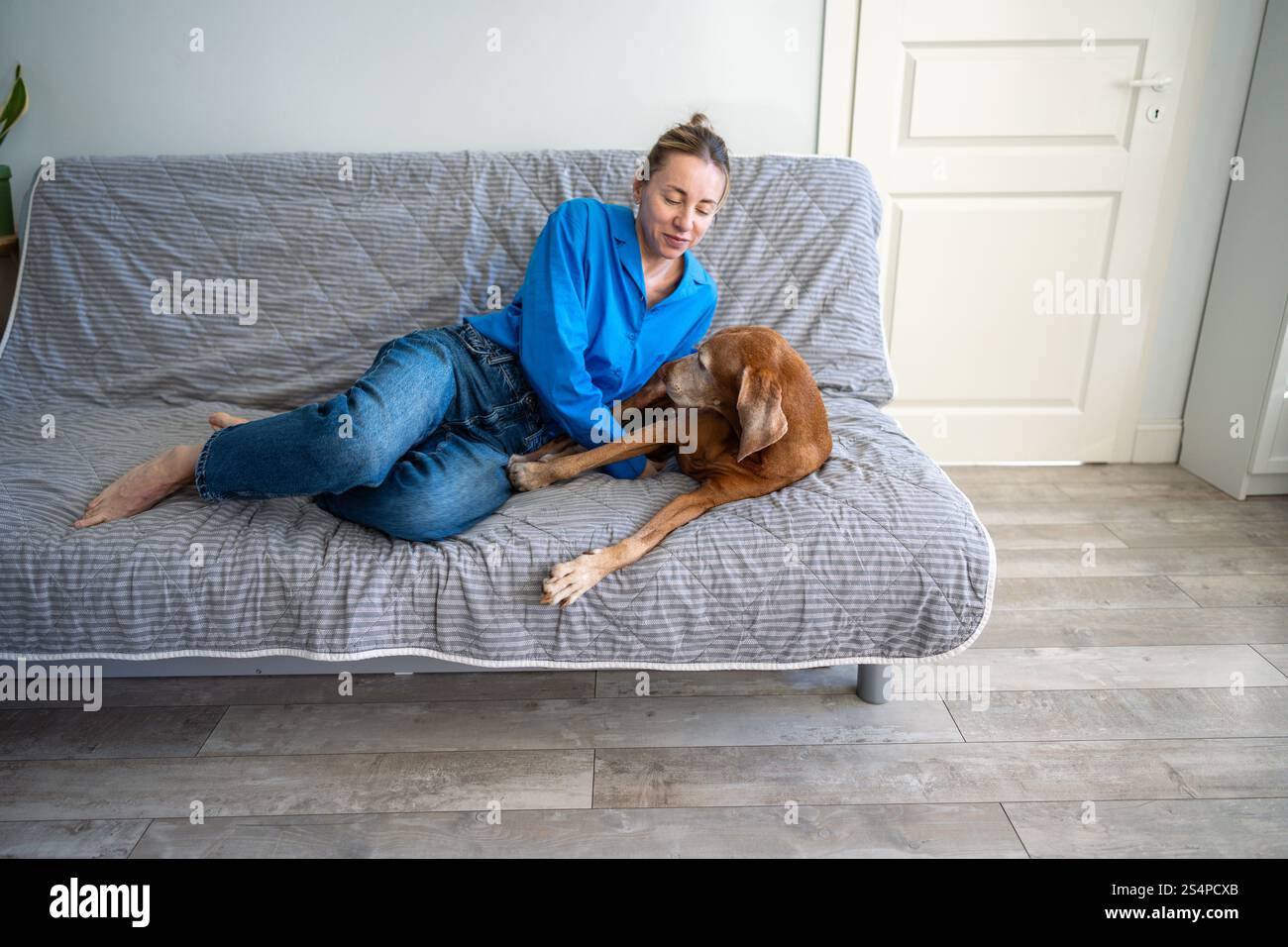 Woman cuddling and playing with dog on couch at home. Dog adoption ...