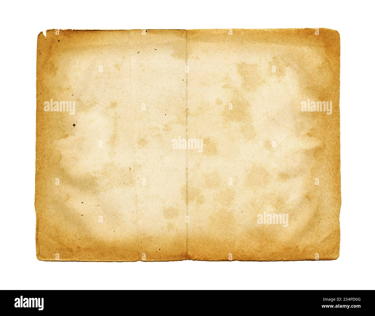 Old parchment paper texture isolated on white. Old parchment paper ...