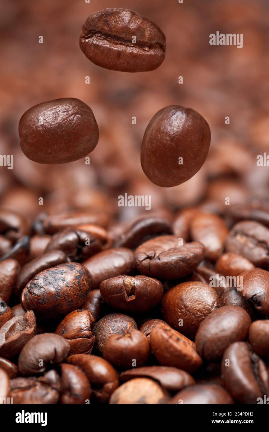 falling beans and dark roasted coffee beans background with focus ...