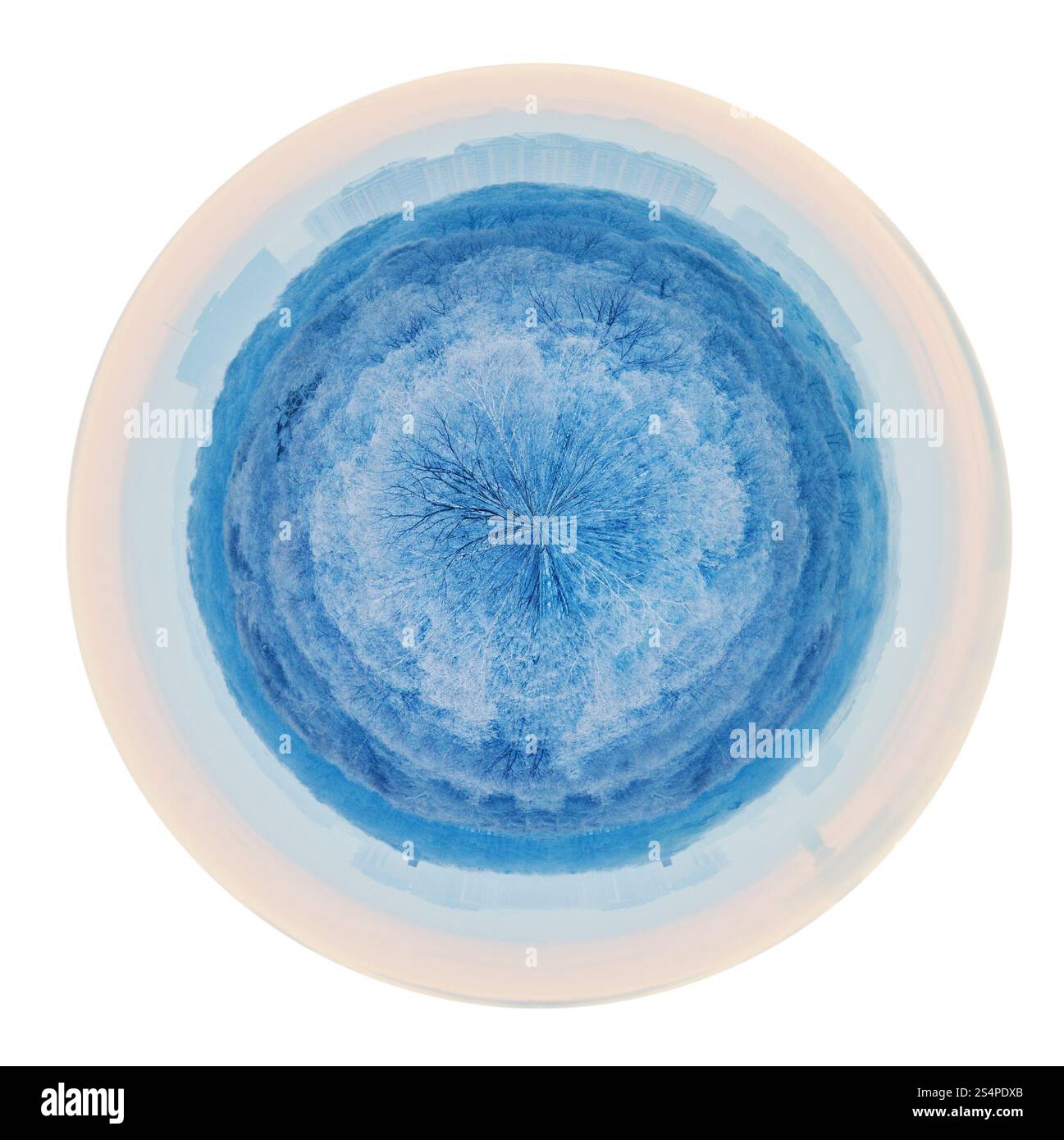 Round blue winter forest Cut Out Stock Images & Pictures - Alamy