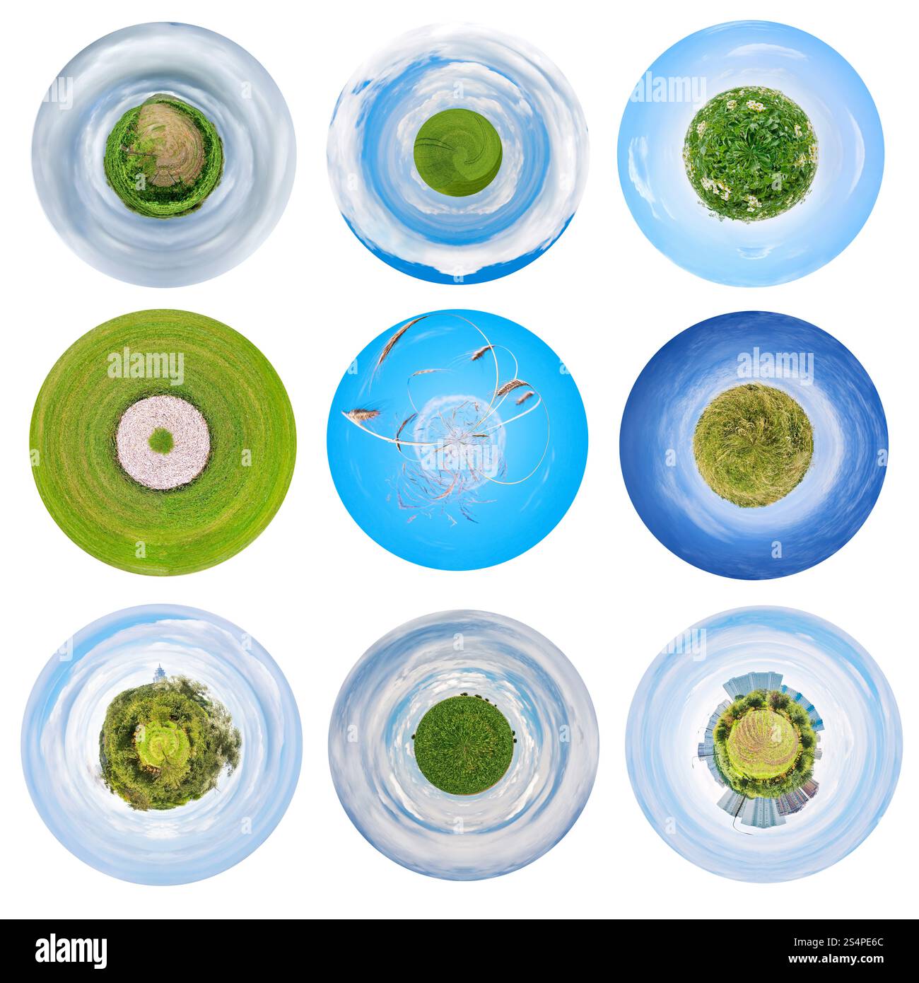spherical views of rural agricultural landscapes - wheat, rye, potato ...