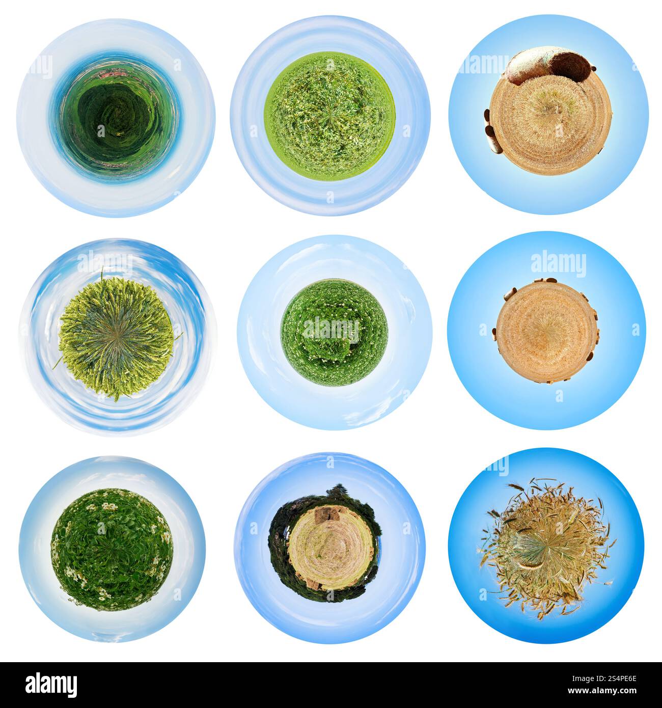 spherical views of rural agricultural landscapes - wheat, rye, potato ...