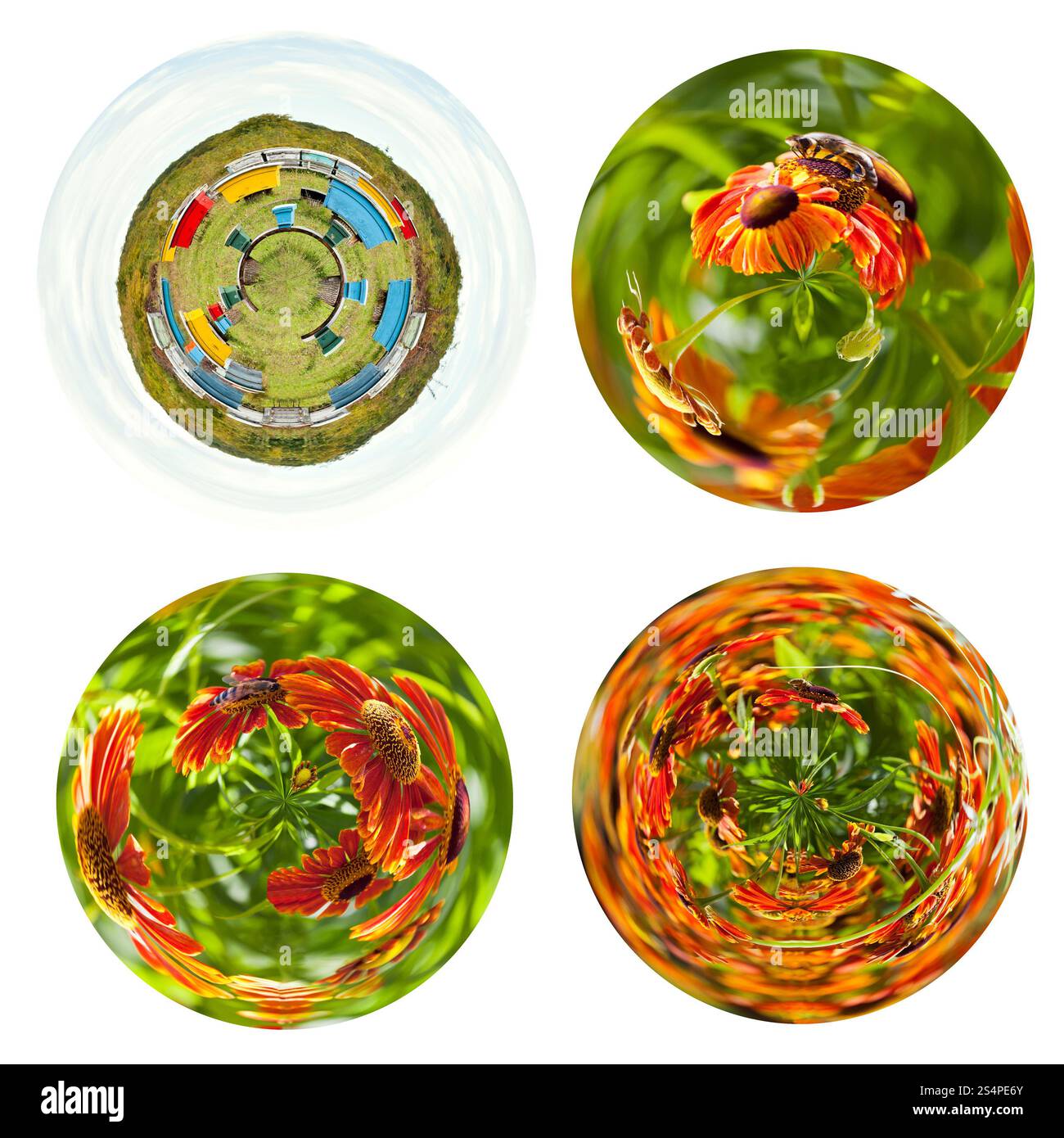 Close up summer place Cut Out Stock Images & Pictures - Alamy