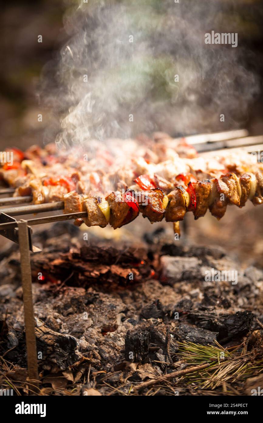 Photo of meat kebab cooked on fire Stock Photo - Alamy