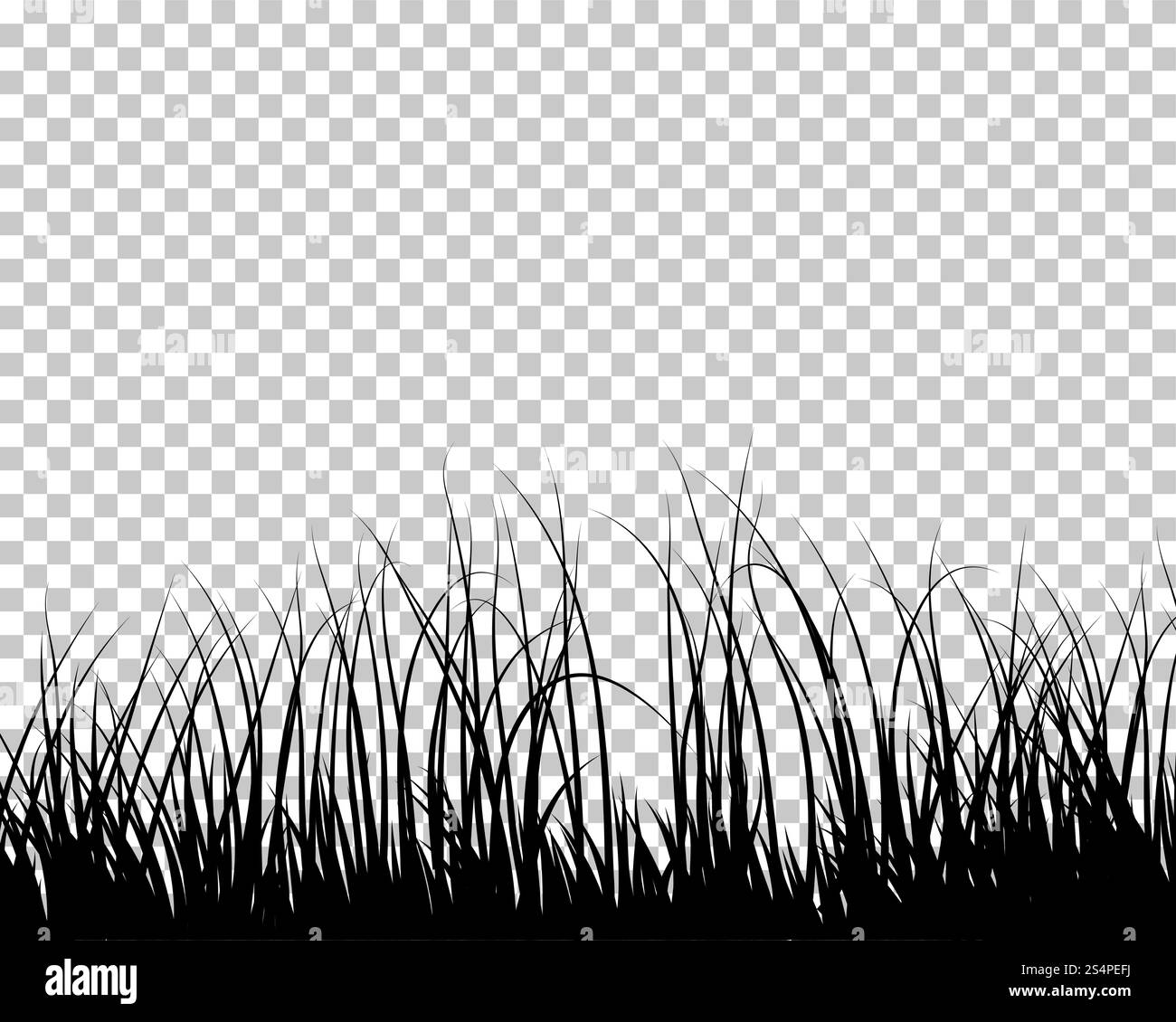 Meadow silhouette with transparency grid on back. Vector Illustration ...