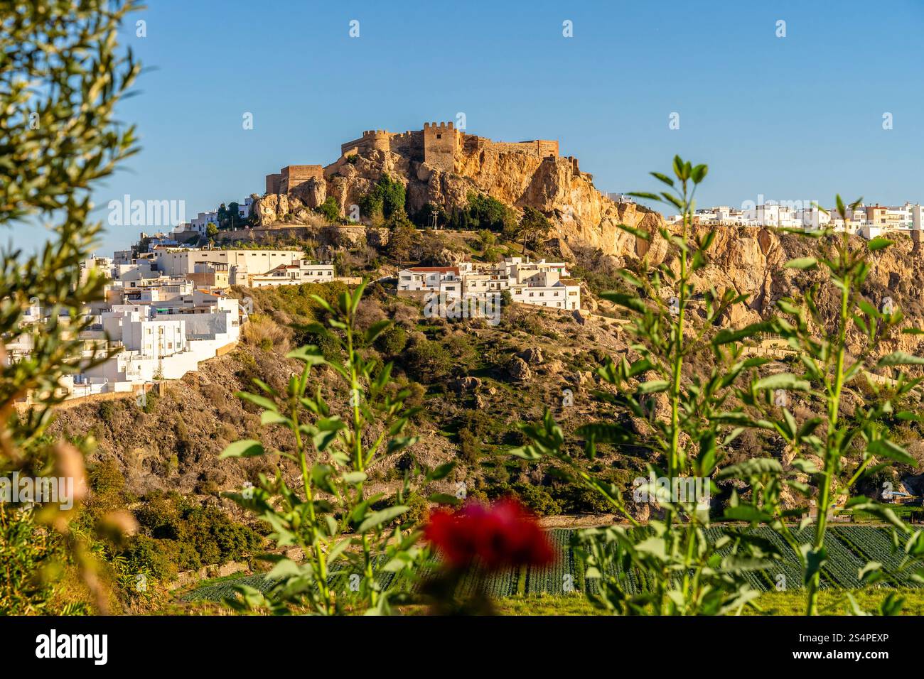 Castle and whitewashed architecture of Salobrena in Granada district in ...