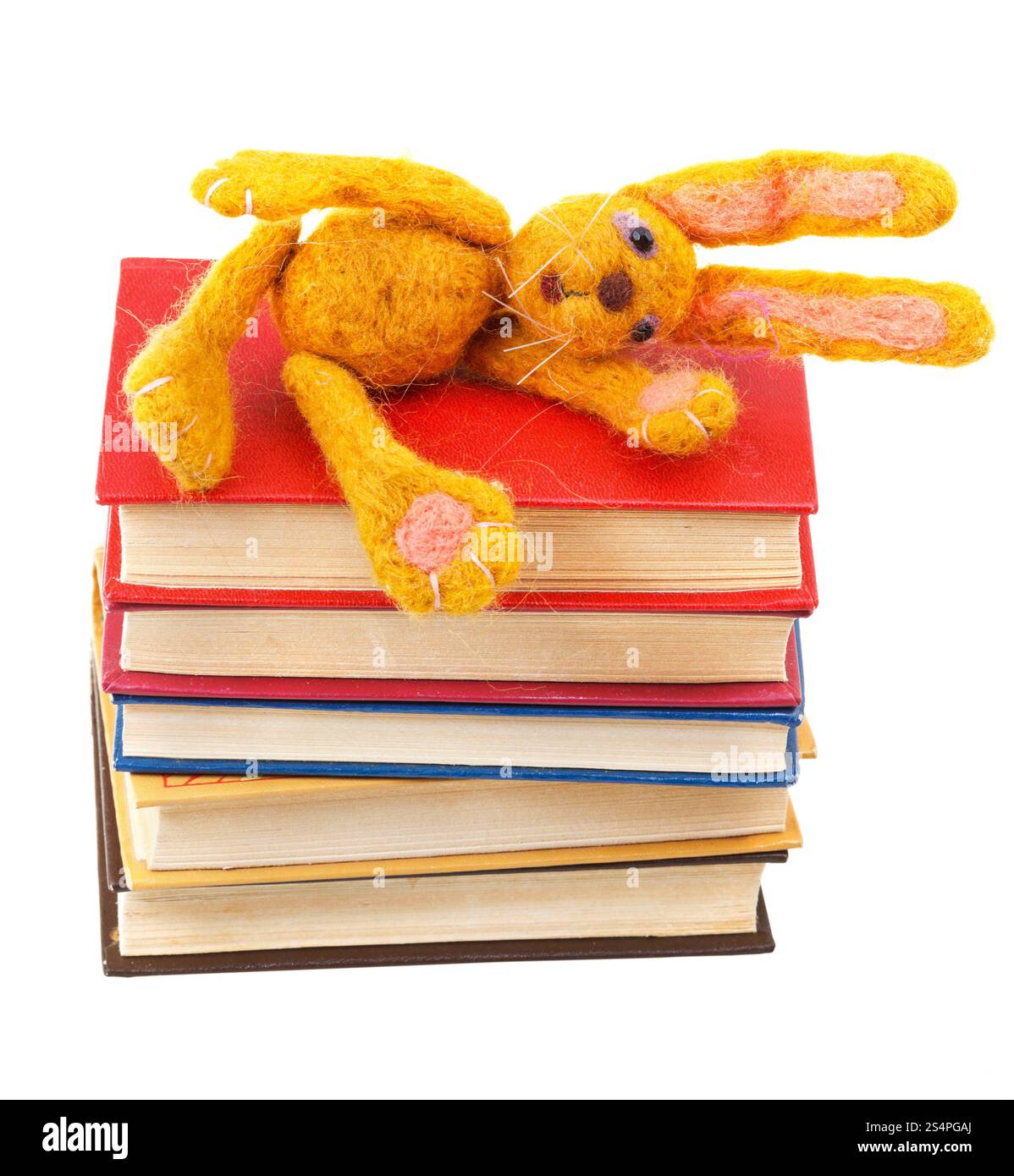 felt soft toy rabbit lies on stack of books isolated on white ...