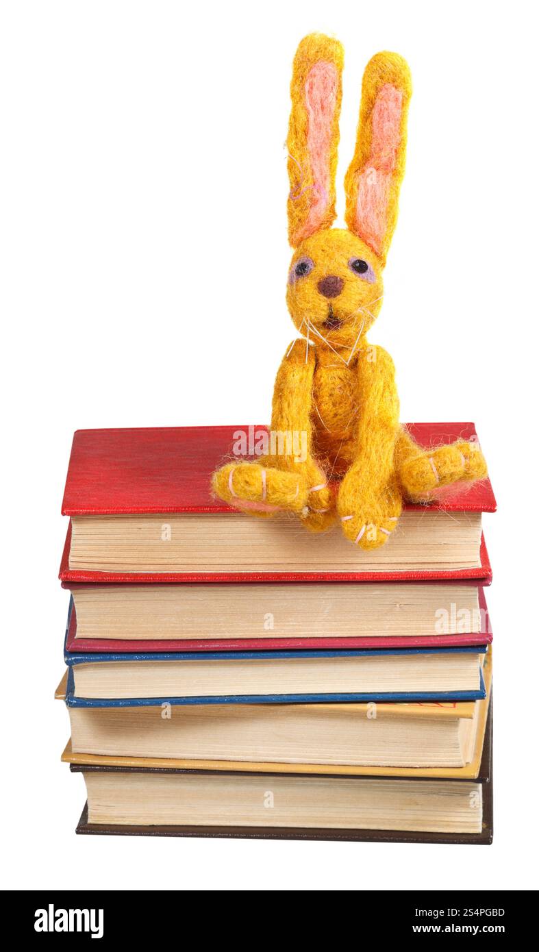 felt soft toy rabbit sits on stack of books isolated on white ...