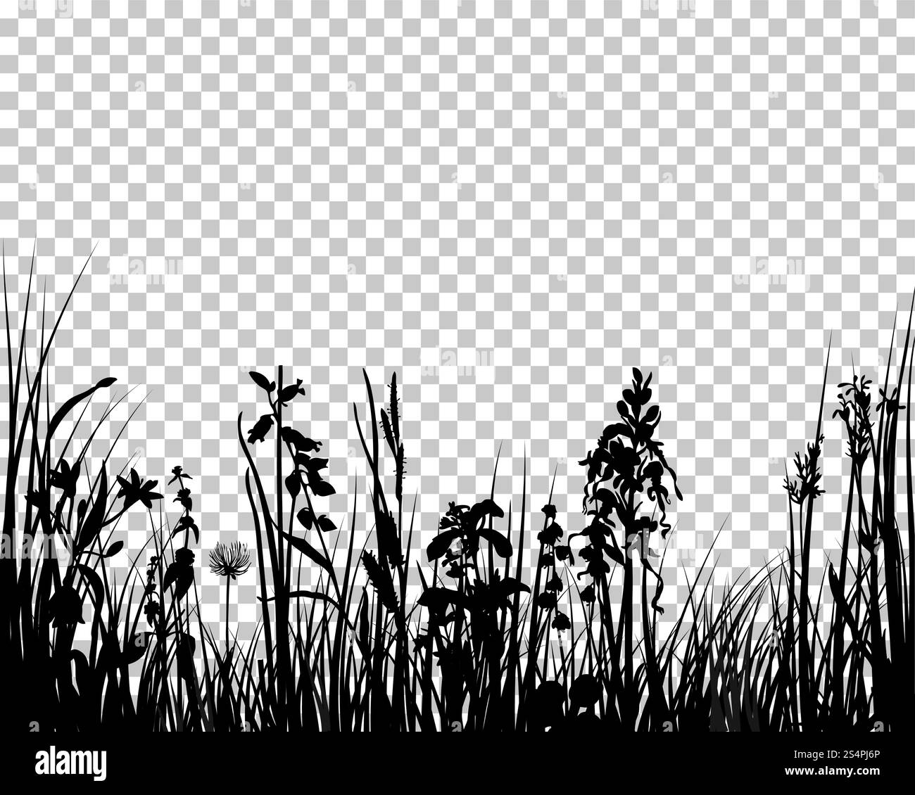Meadow silhouette with transparency grid on back. Vector Illustration ...