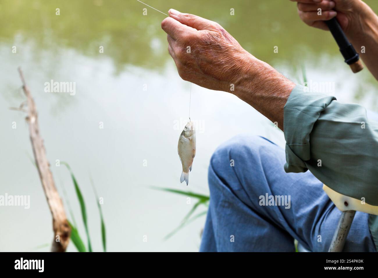 fisherman caught small bream fish from Kuban River, Russia Stock Photo ...