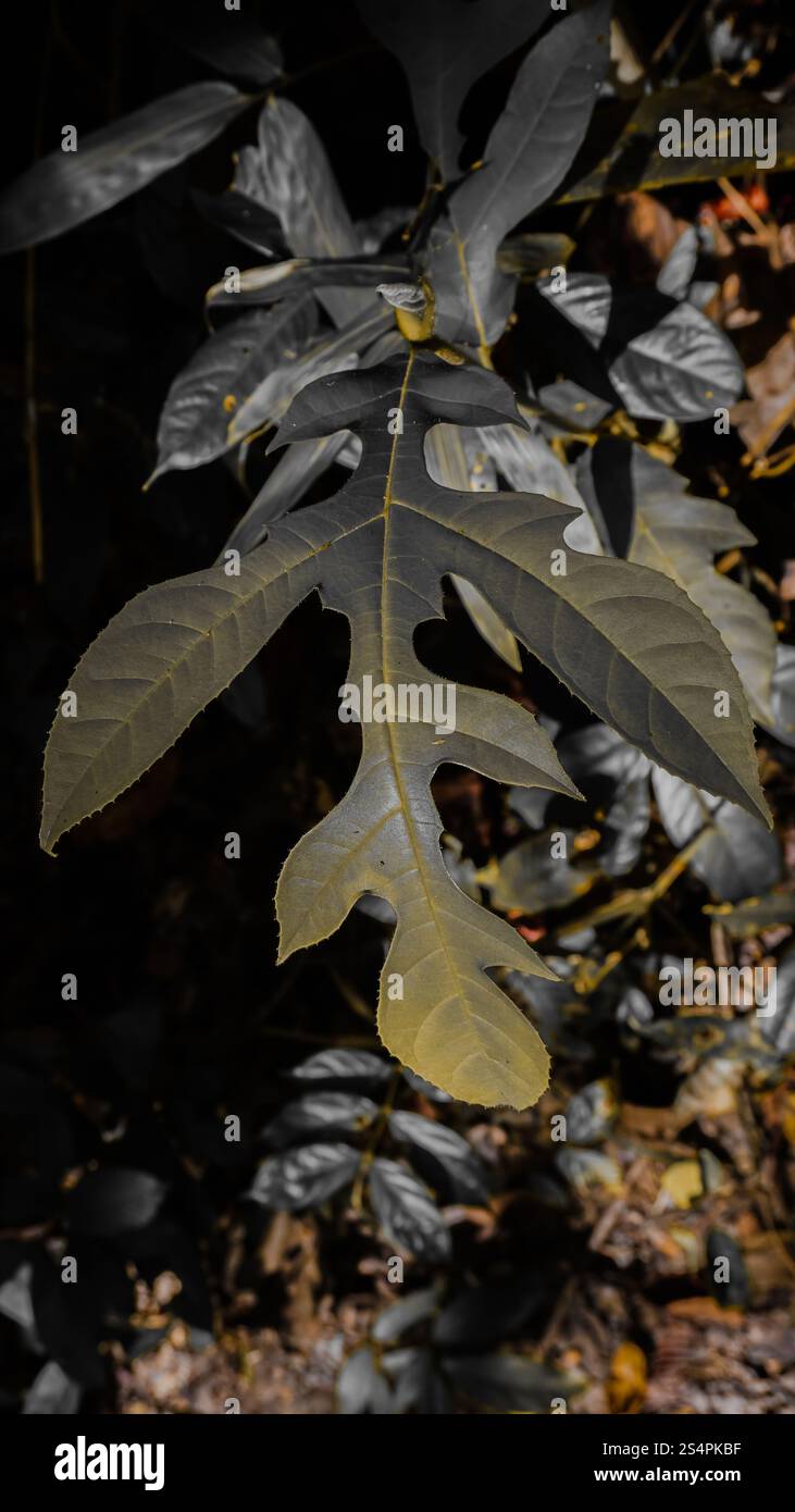 Large uniquely shaped structure hi-res stock photography and images - Alamy