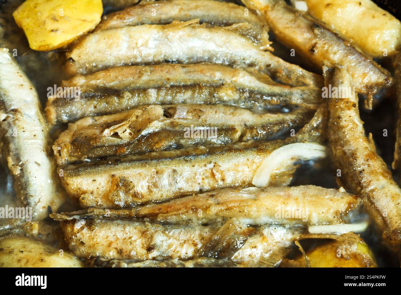 Close up fish in sea hi-res stock photography and images - Alamy