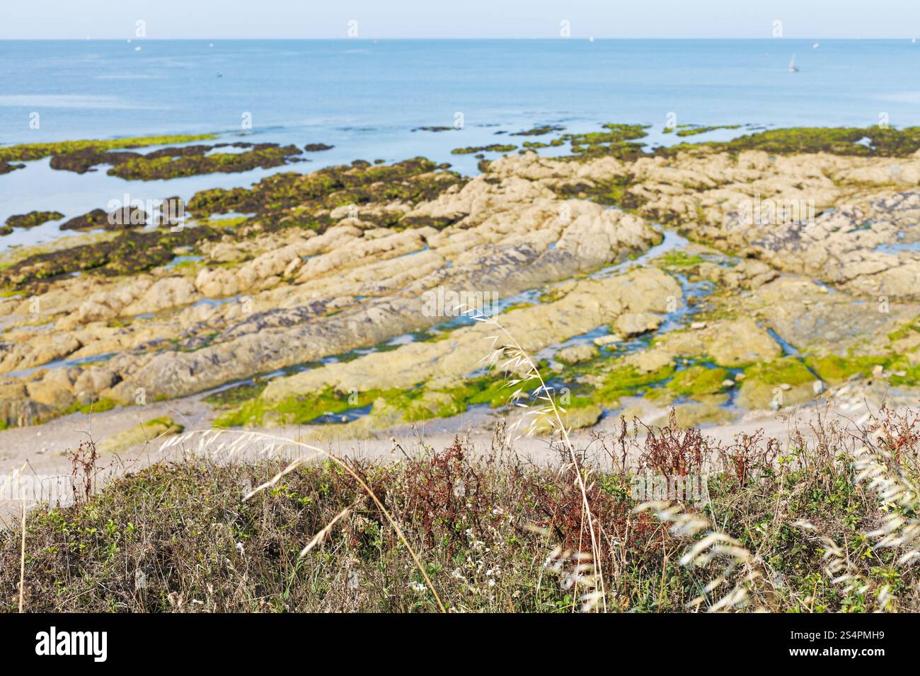 coastline of Atlantic ocean near Piriac-sur-Mer town on Guerande ...