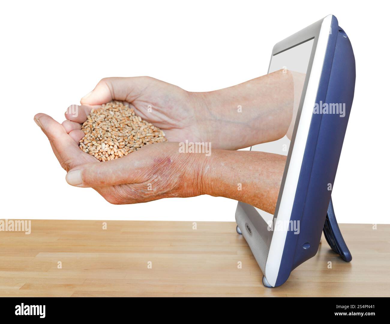 peasant hands holding handful of grains leads out TV screen isolated on ...