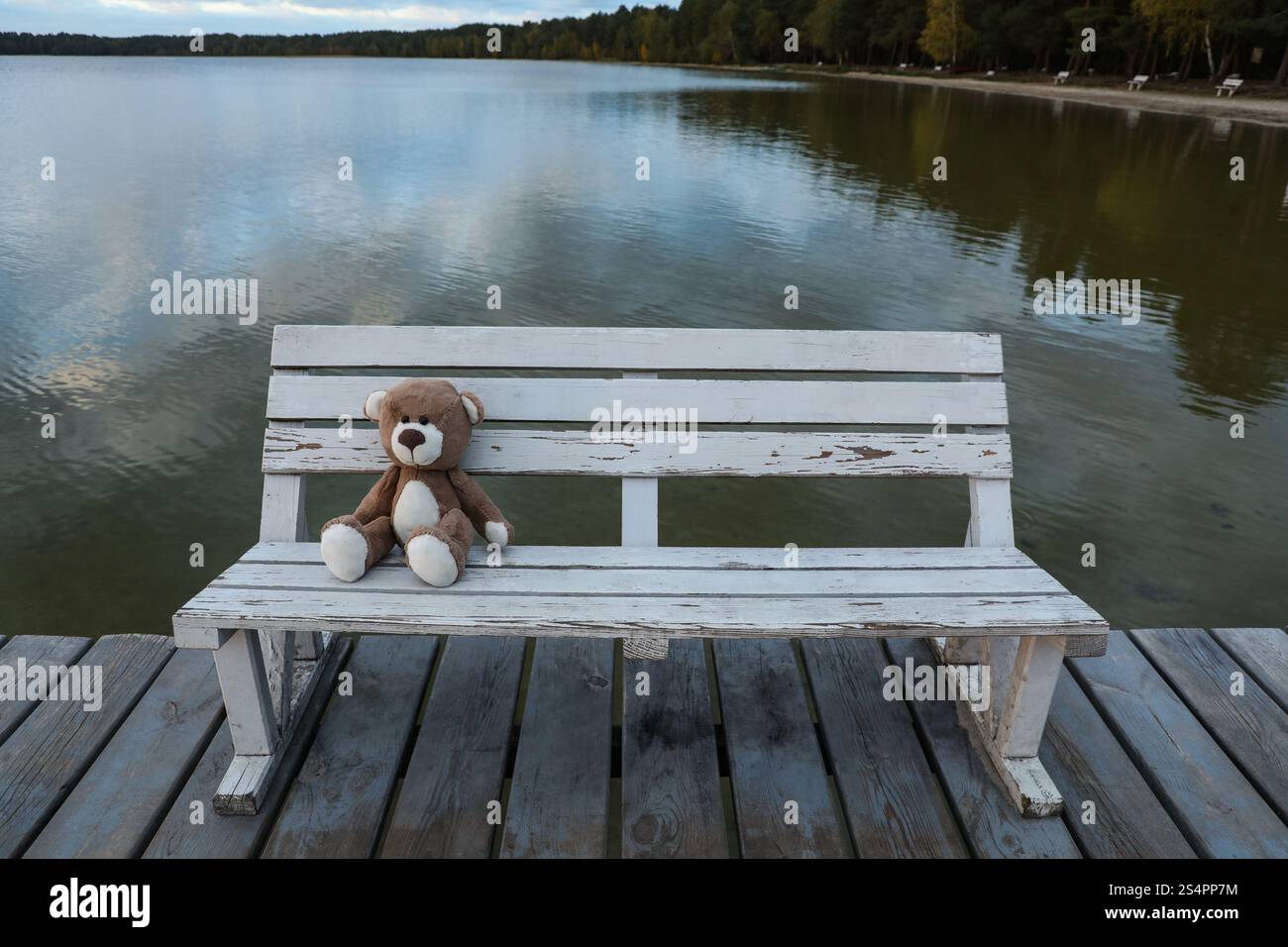 Alone child teddy bear hi-res stock photography and images - Alamy