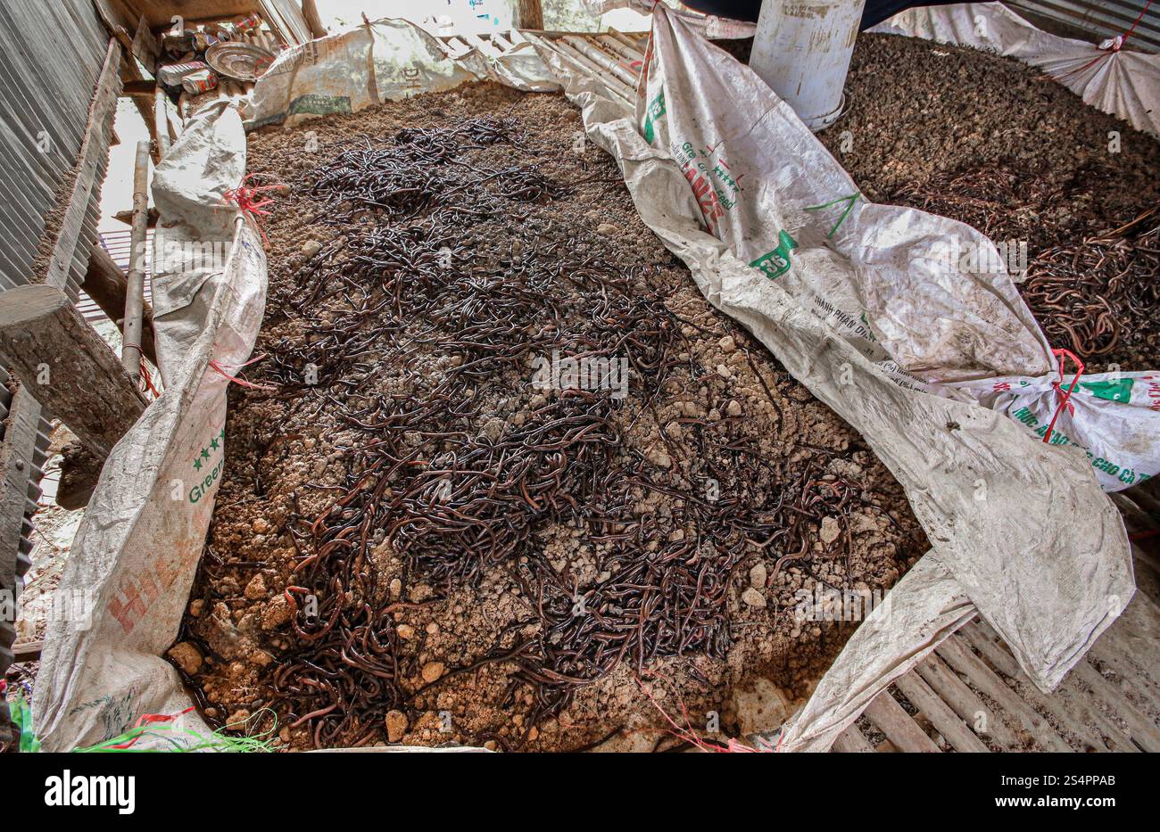 Human waste fertilizer hi-res stock photography and images - Alamy