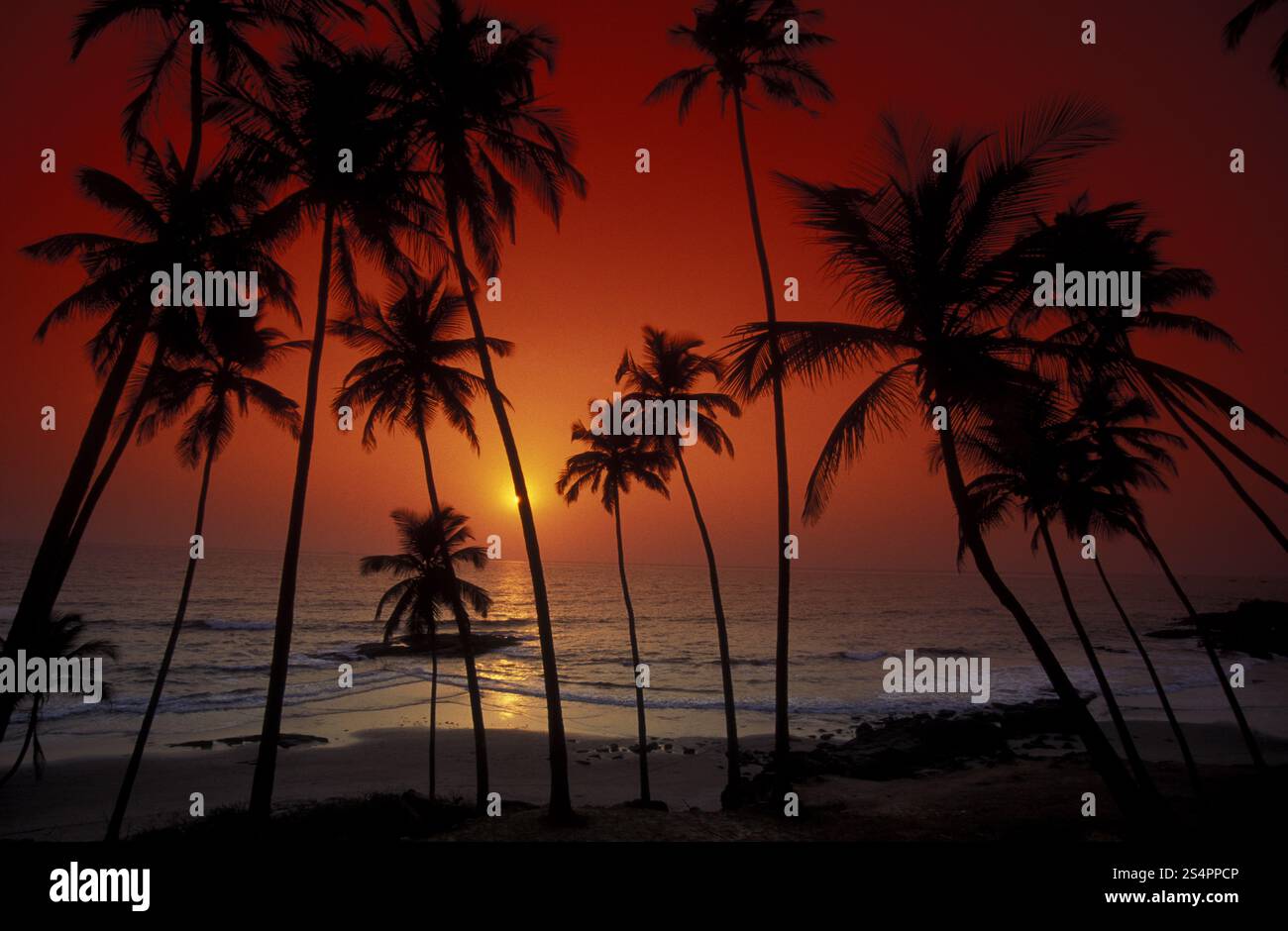 the beach of Anjuna in the Province Goa in India. ASIA INDIA GOA Stock ...