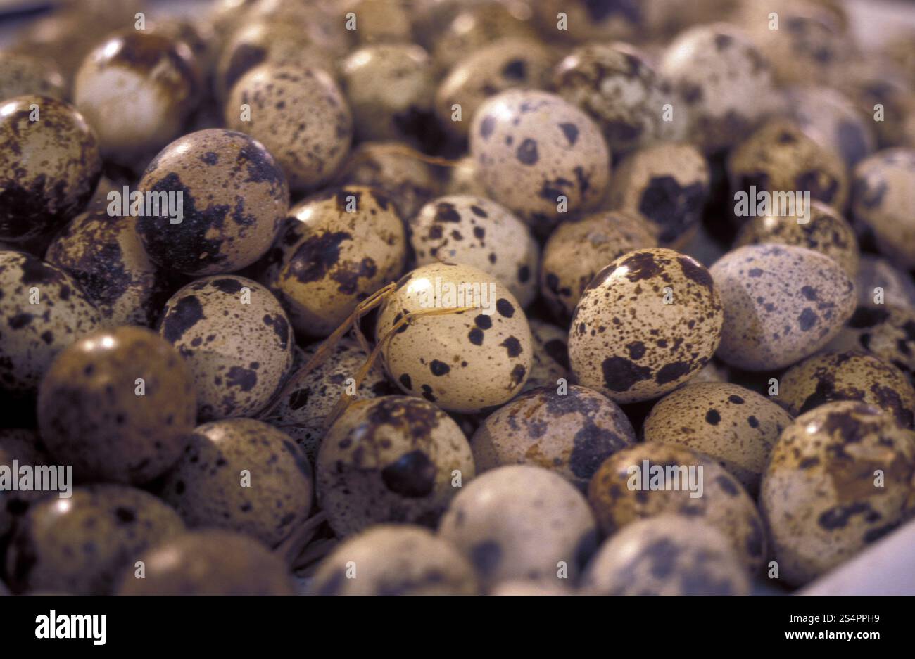 eggs at the Market in the city of Chongqing in the province of Sichuan ...