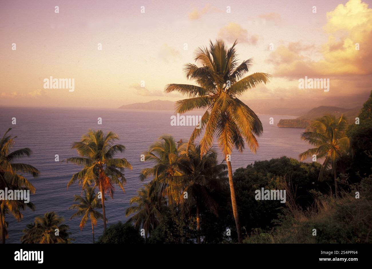 the landscape on the coast of the village Moya on the Island of Anjouan ...