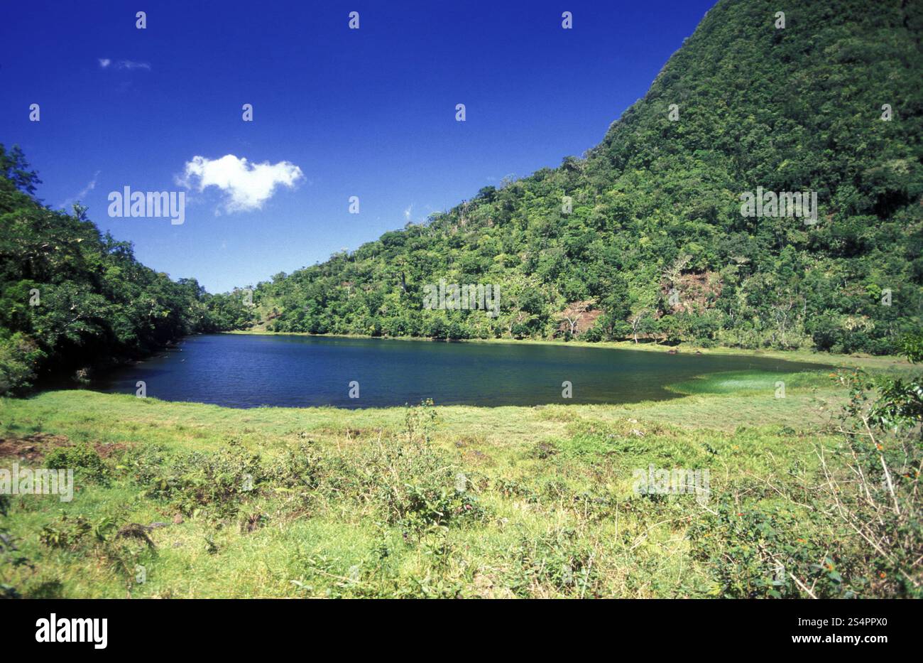 the mountain Landscape on the Island of Anjouan on the Comoros Ilands ...