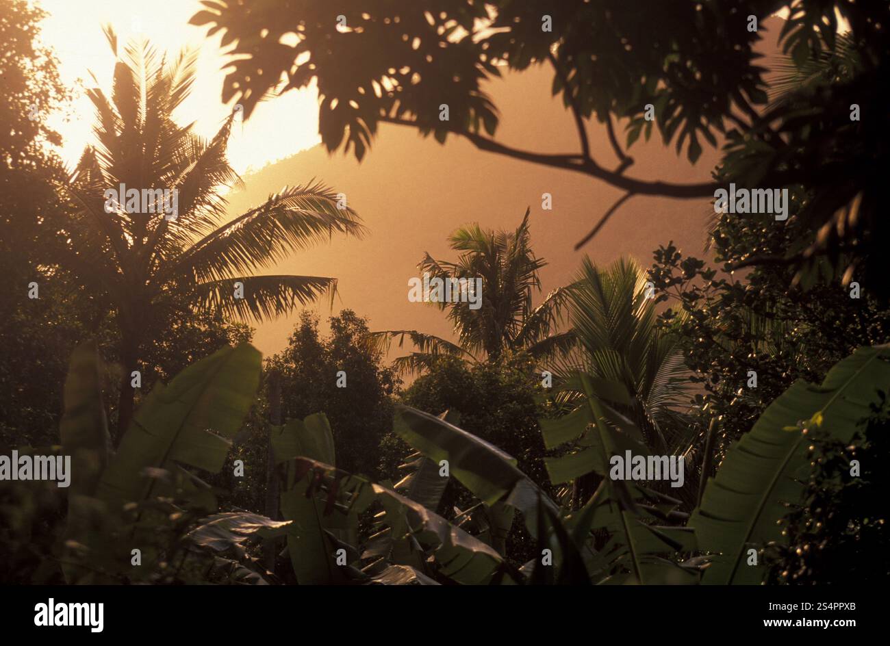 the mountain Landscape on the Island of Anjouan on the Comoros Ilands ...