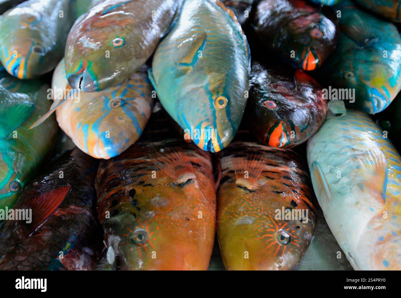 Papagai fish and seafood in a Beach restaurant on the Rawai Beach on ...
